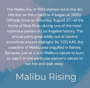 Malibu Rising by Taylor Jenkins Reid ⋆ LitBuzz